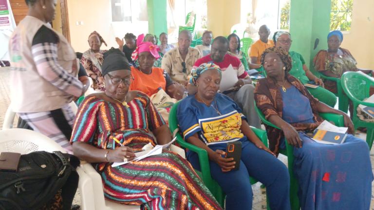 From the Liberia Women Empowerment Project, ActionAid climaxes Local ...